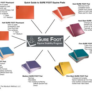 SURE FOOT International | The Murdoch Method