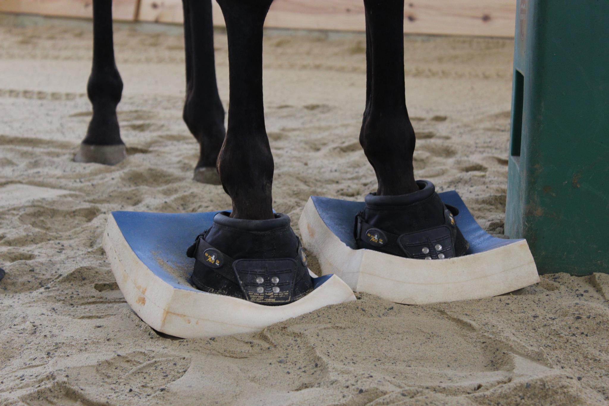 FREE SURE FOOT Webinar June 19 (Plus, Enter to Win a Full Set of Sure ...