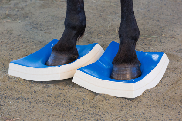 SURE FOOT Equine Pads – SOFT | The Murdoch Method