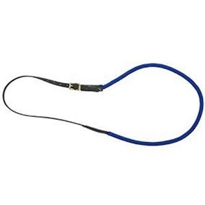 Balance Rein | The Murdoch Method